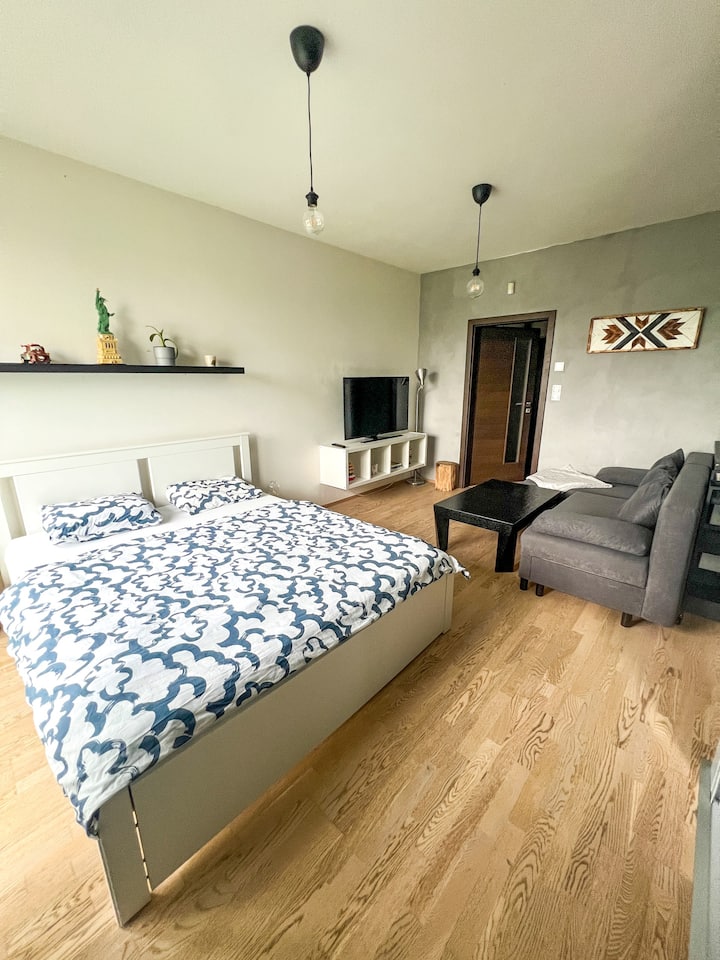 Apartment In Garden Towers - Praag