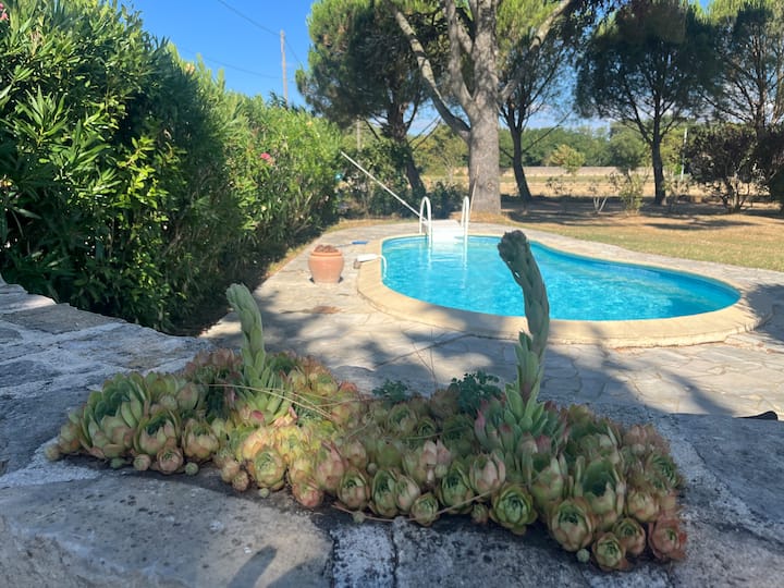 Maison+piscine En Pleine Campagne - Montélimar