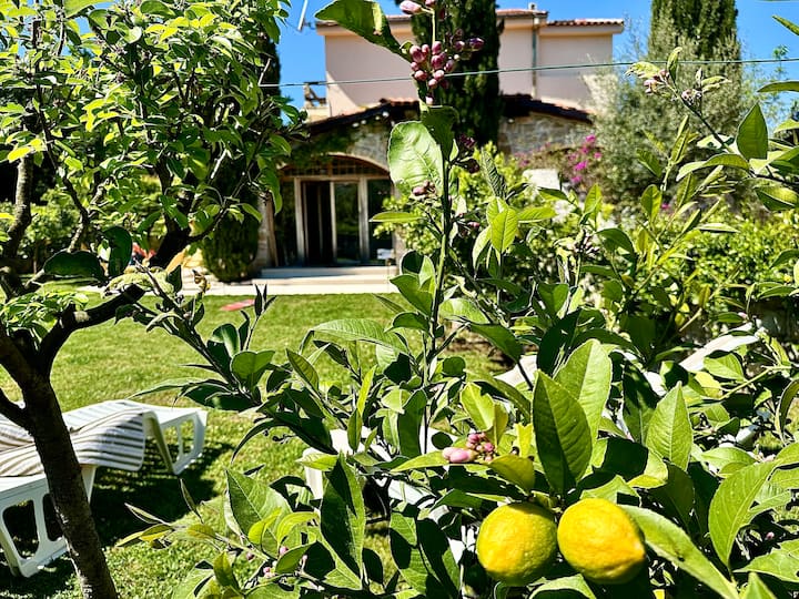 Villa Orli - Kotor