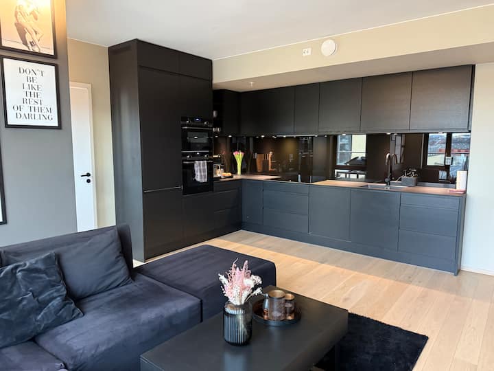 Penthouse Apartment - Trondheim
