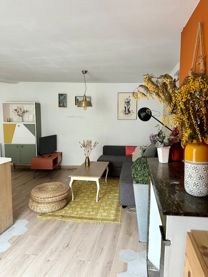 Le Poirier : Joli Duplex En Hypercentre - Olivet