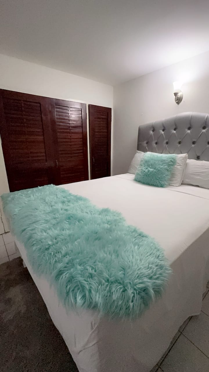 Oxford Manor Apt - Kingston - Kingston