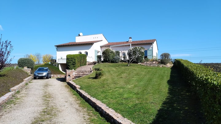 Méditerranéenne En Beaujolais. - Juliénas