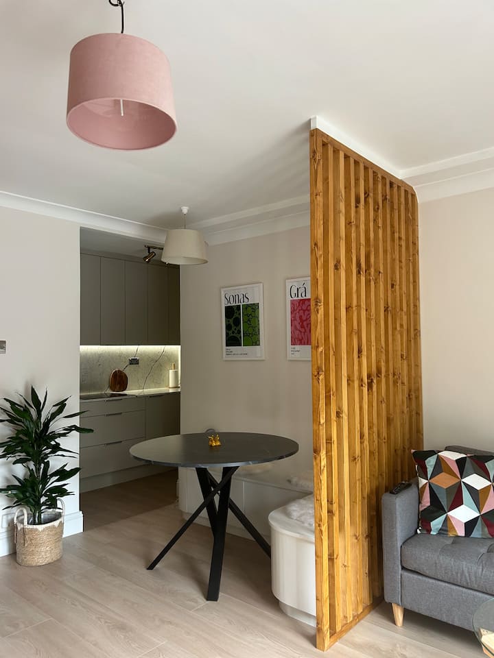 Cosy Studio In Dublin City - Dublin