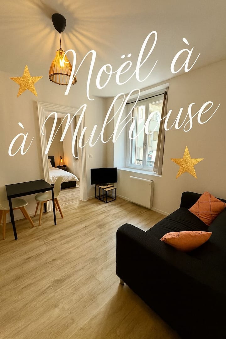 Le Cocon Mulhousien - Proche De La Gare - Mulhouse - Mulhouse