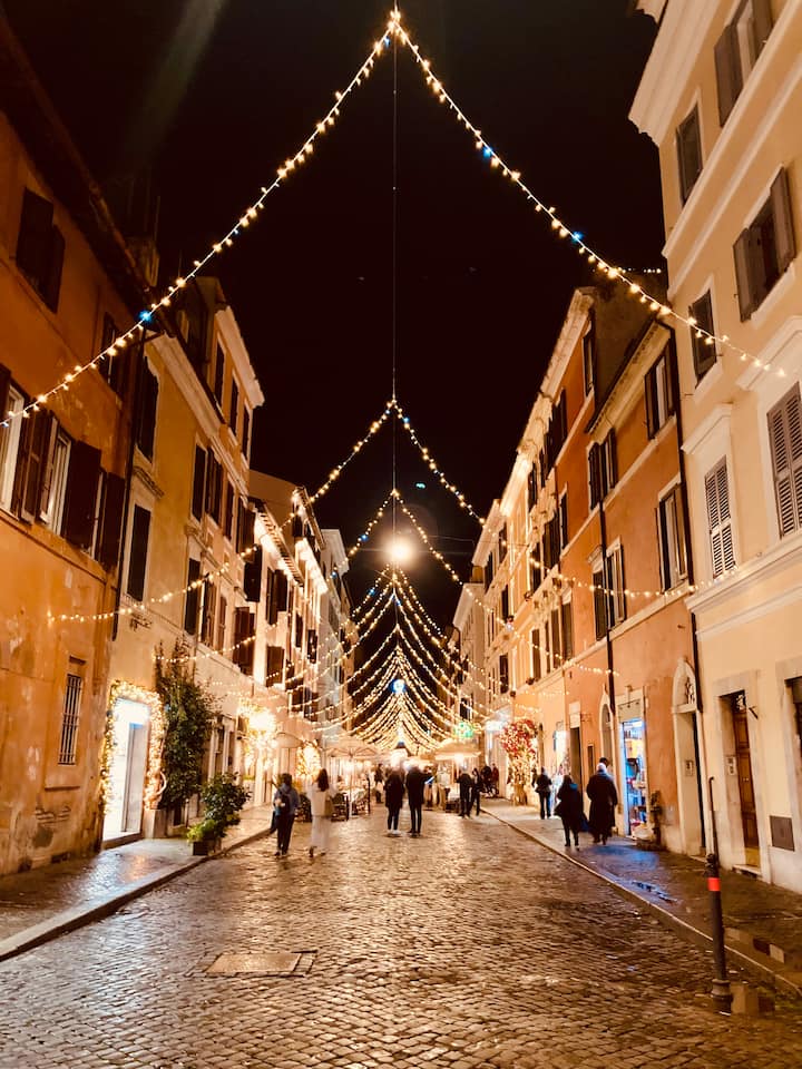 Appartamento Storico Borgo Pio - Rome