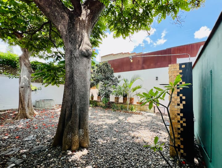 Departamento “Chipe Rojo”oaxaca - Oaxaca