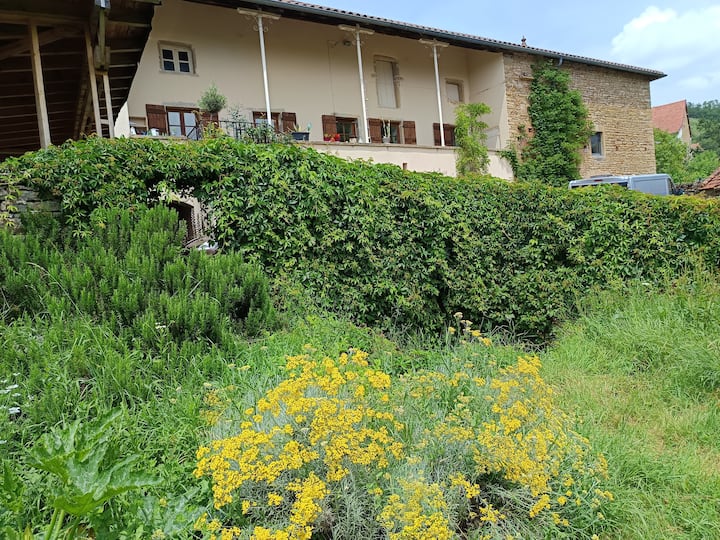 Maison De Maître à Cluny - Cluny