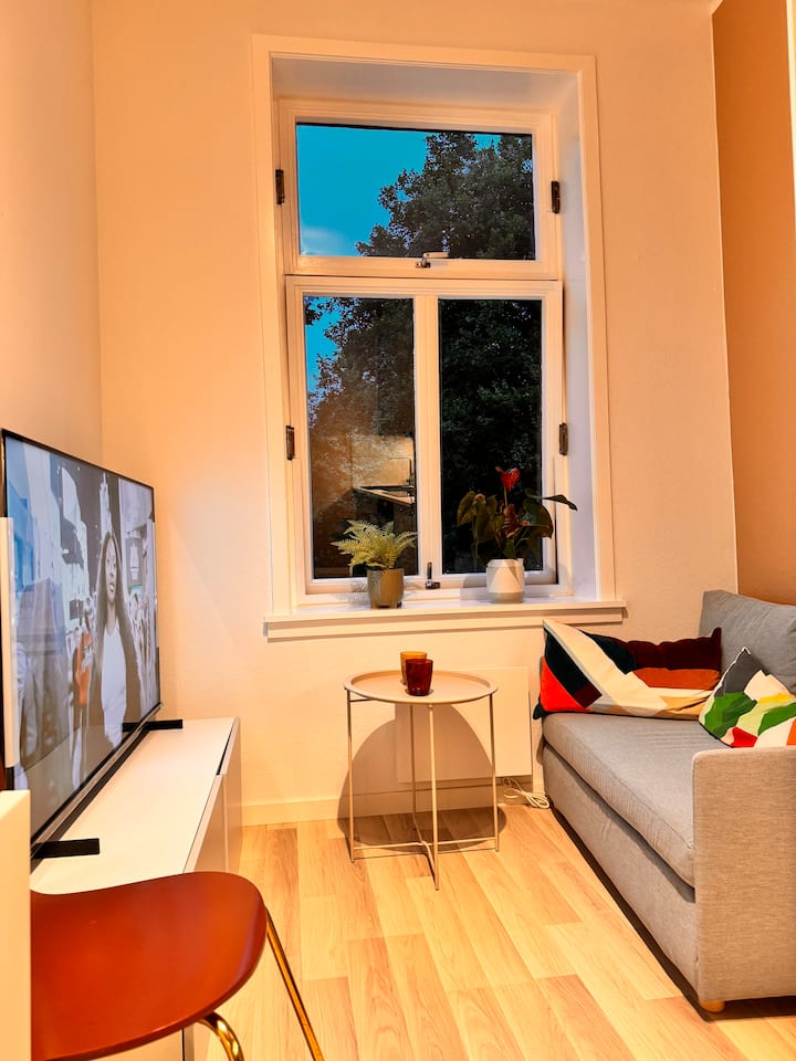 Cozy And Stylish 2br Apt 4min Metro To Oslo S - Oslo