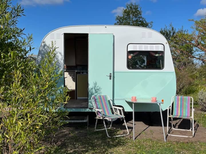 Cutie Pie Caravan On Fyn&bos Farm - Wilderness