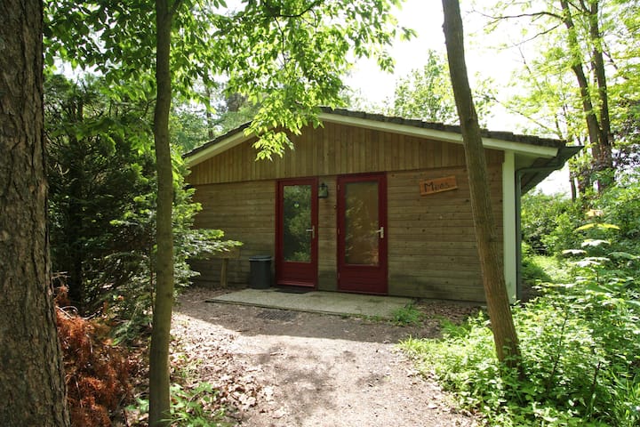 Vakantiewoning In Otterlo - Ede