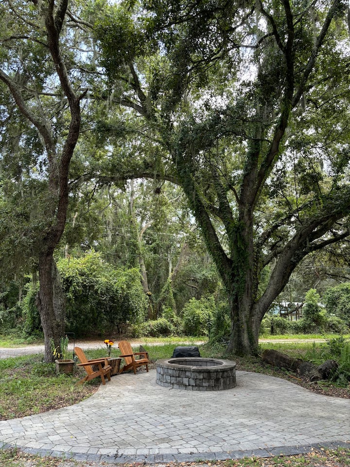 Woods And City: Best Of Both - Apollo Beach, FL