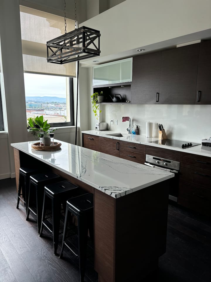 Beautiful Downtown Victoria Loft - Victoria