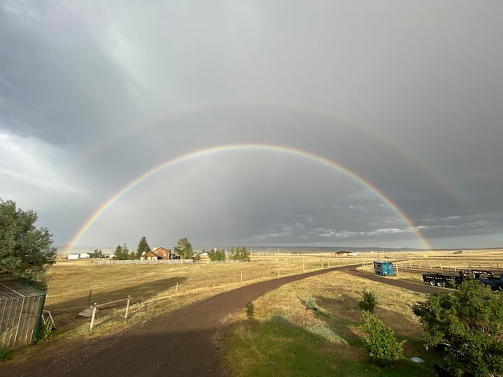 [New Listing!] The Funky Bunk (House) - Laramie, WY