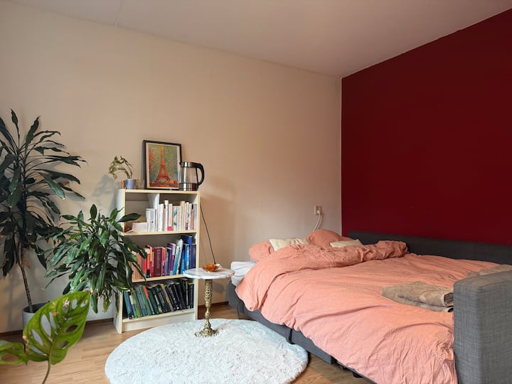 Quiet House In Vibrant Center - Utrecht