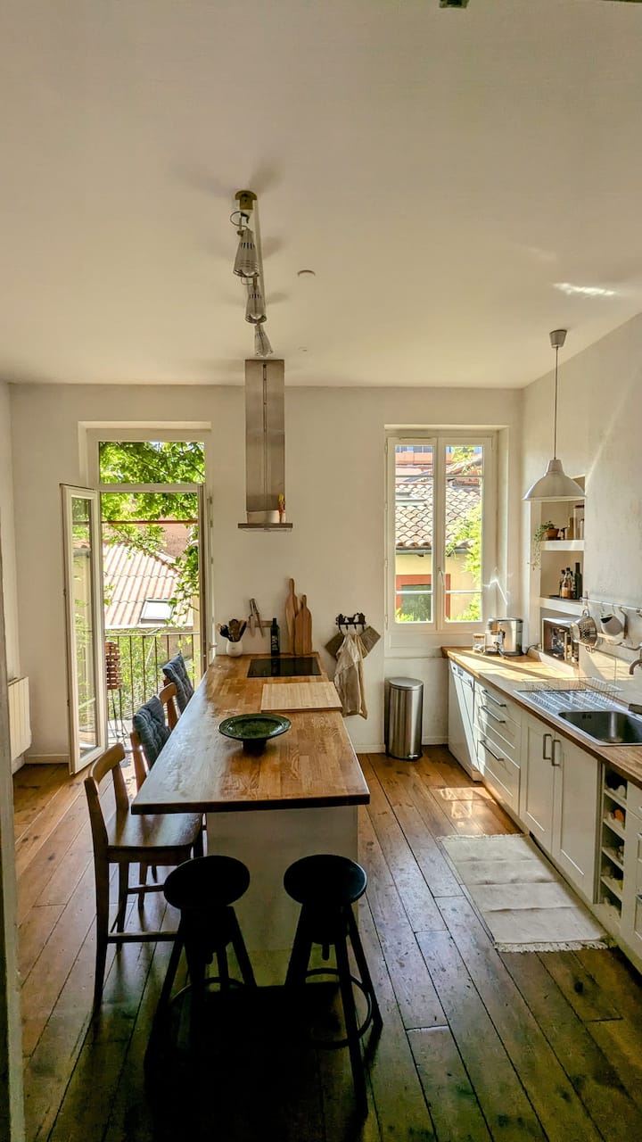 Au Raymond Iv, Appartement Au Coeur De Toulouse - Toulouse