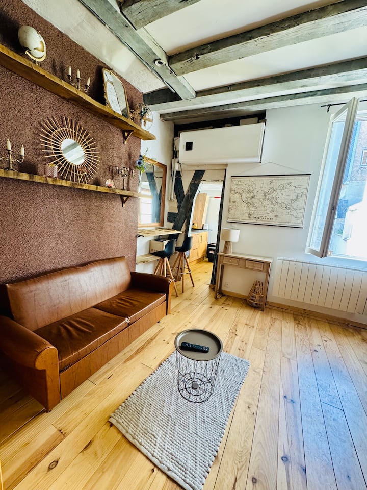 L’atypique, T2, Centre Ville Historique - Bourges