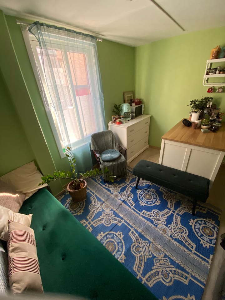 Private And Comfy Two-room In Oslo City Center - Oslo