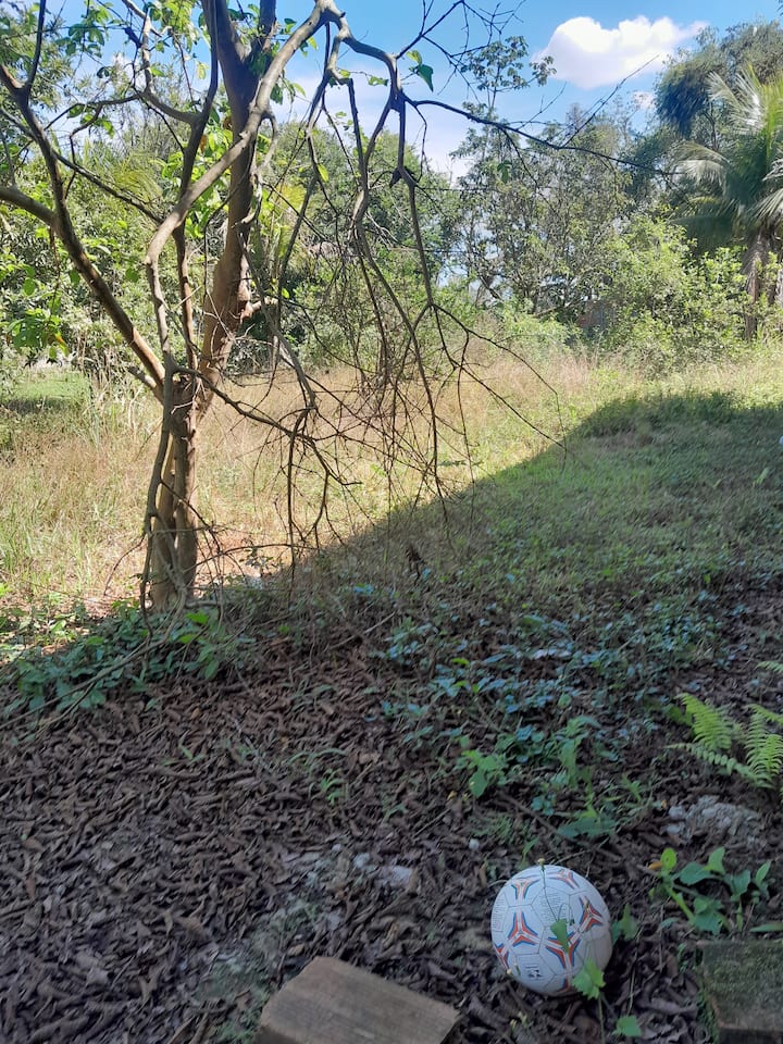 Sitio Camping Para Alugar - Nova Iguaçu