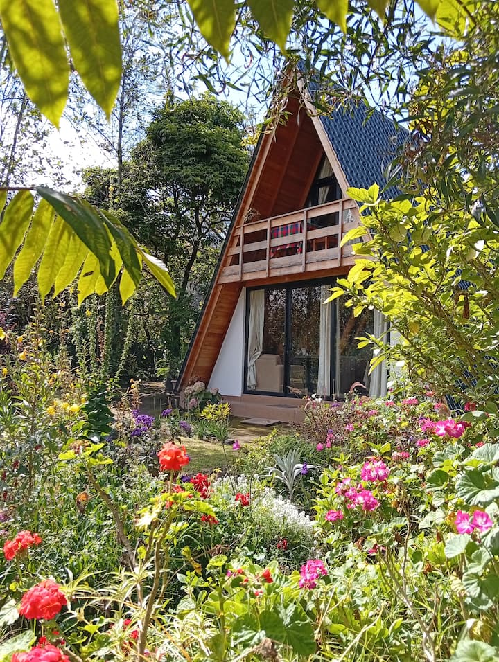 Hermosa Cabaña En Peguche Otavalo
(Vivienda Anexa) - Otavalo
