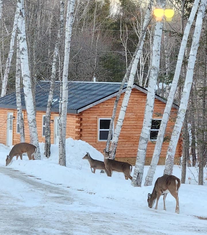 Cabin In The Birches #2 - Waterville, ME