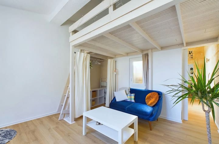 Appartement De Charme Dans Le Centre Historique - 