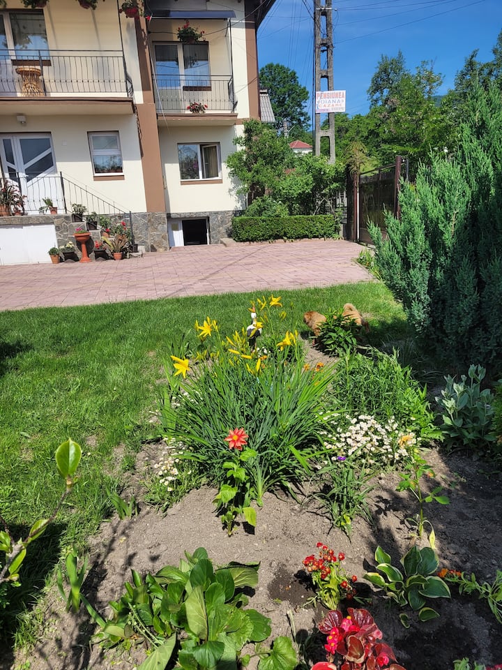 Pensiunea Diana - Arefu