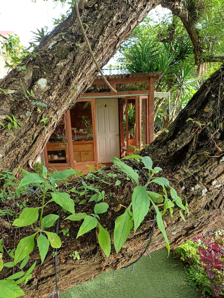 Cabaña Vip - Guatemala City