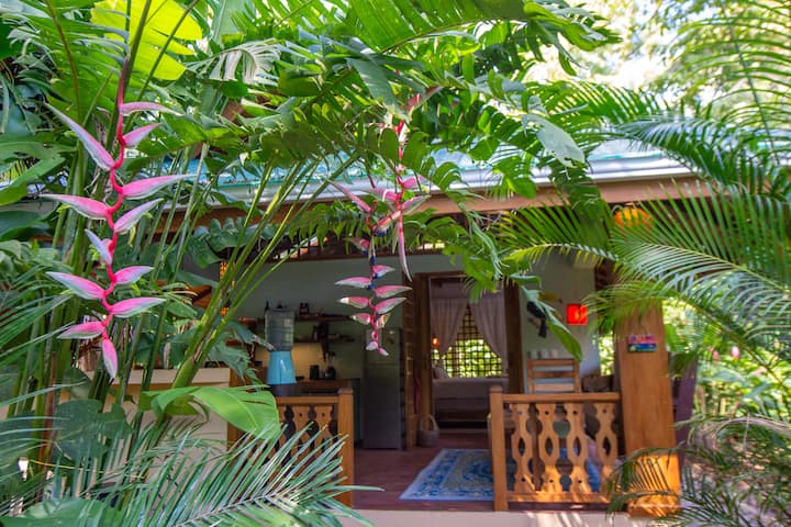 Msuite In Chiquita Casitas Nature All Around! - Punta Uva