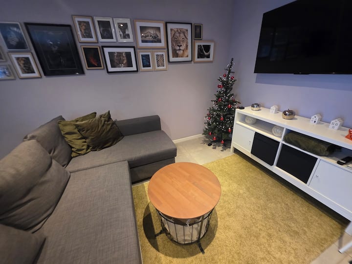 Logement Avec Borne D'arcade Et 4 Lits. - Mulhouse