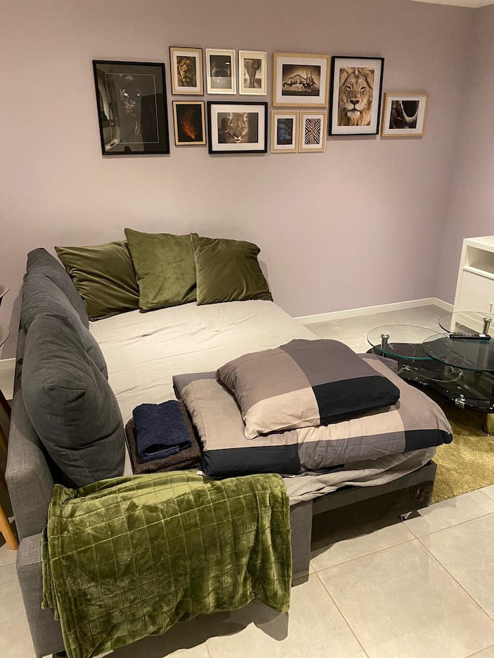 Logement Avec Borne D'arcade Et 4 Lits. - Mulhouse