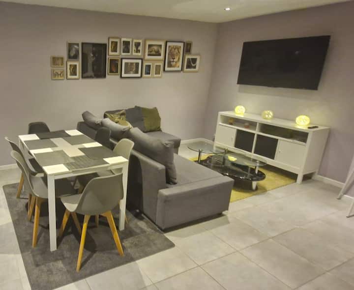 Logement Avec Borne D'arcade Et 4 Lits. - Mulhouse
