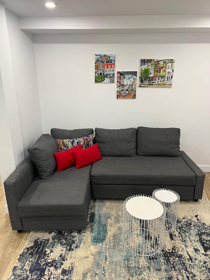 Spacious 1 Bedroom Apartment In Montreal - Montreal