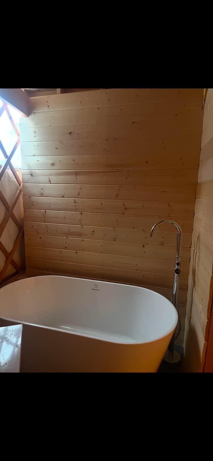 Cozy Yurt In A Forest Setting - Haines, AK