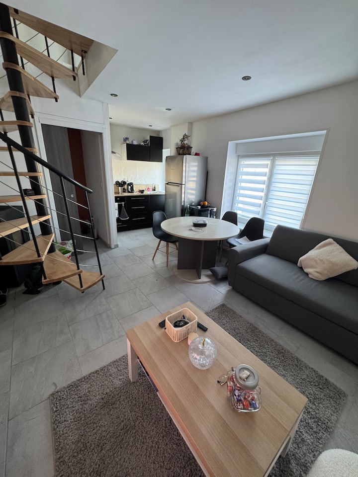 Duplex Au Sein D’un Petit Village Mosellan - Sarrebourg