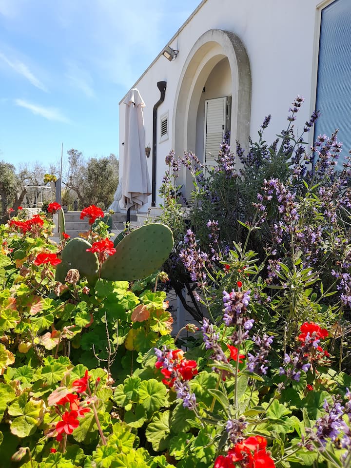 B&b A Due Passi Da Otranto - Santa Cesarea Terme