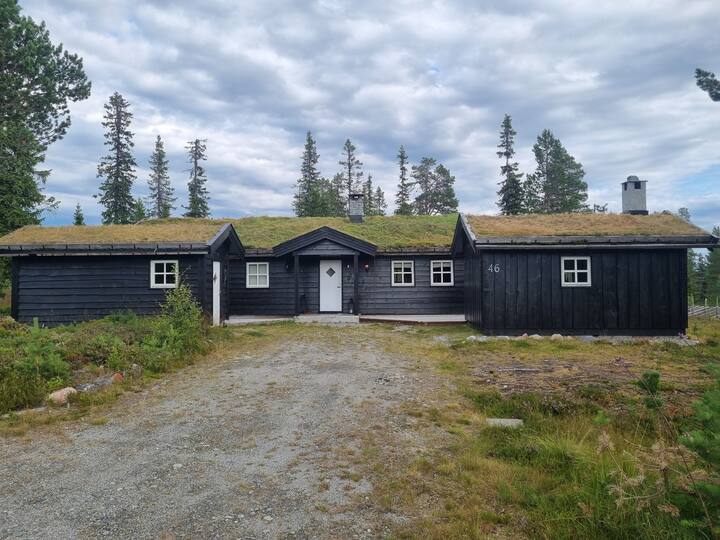 Helårshytte I Flotte Omgivelser - Veggli
