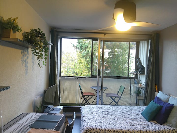 Vue Sur Les Cures - Clermont-Ferrand