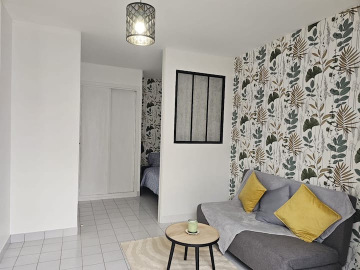 Charmant Studio à Tours - Vouvray