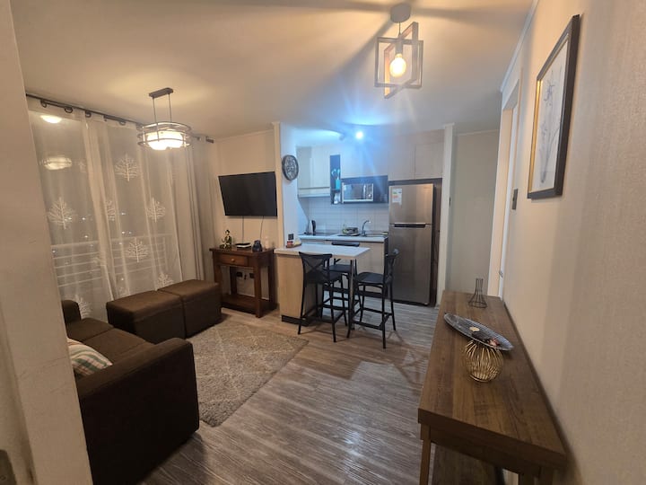 Departamento De Dos Dormitorios - Chillan