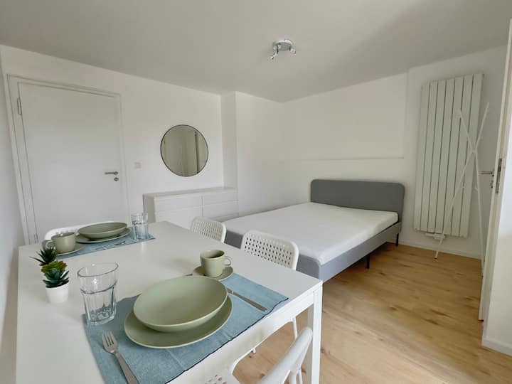 Spacious & Charming City Center Studio N8 - Aachen