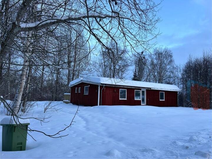House 1 Hour From The Ski Slopes - Ånge