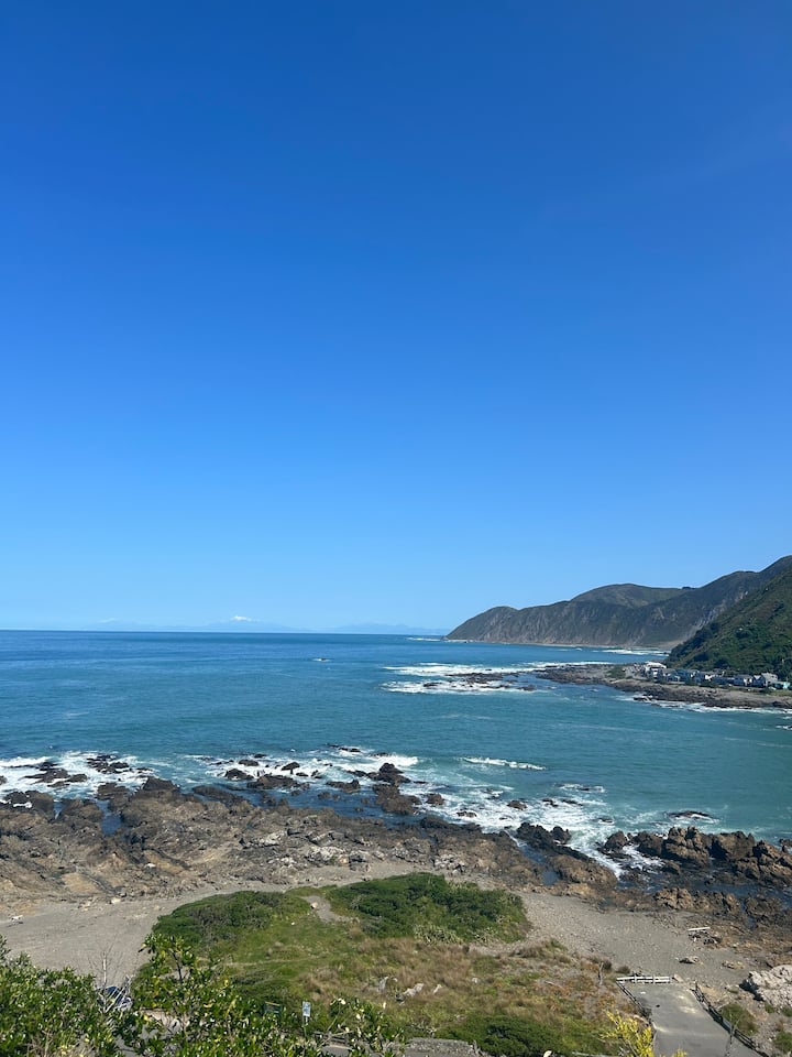 Cosy Flat With Sea Views - Wellington