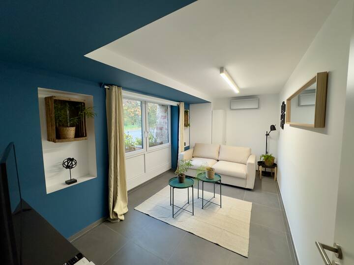 Logement En Face Du Parc - Obernai