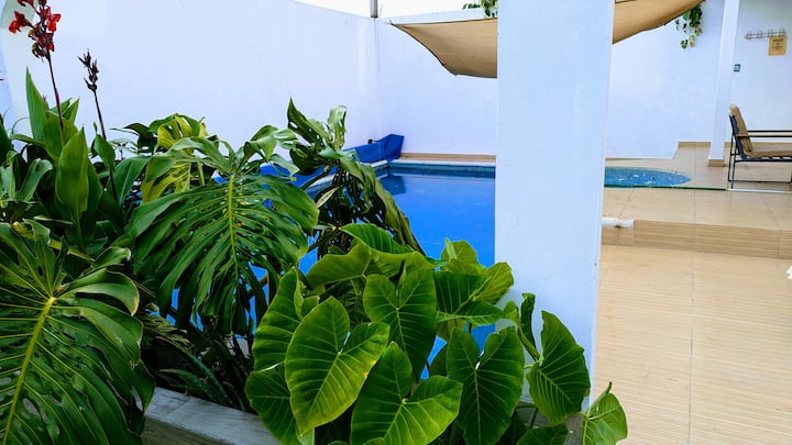 Gardenias - Cuernavaca