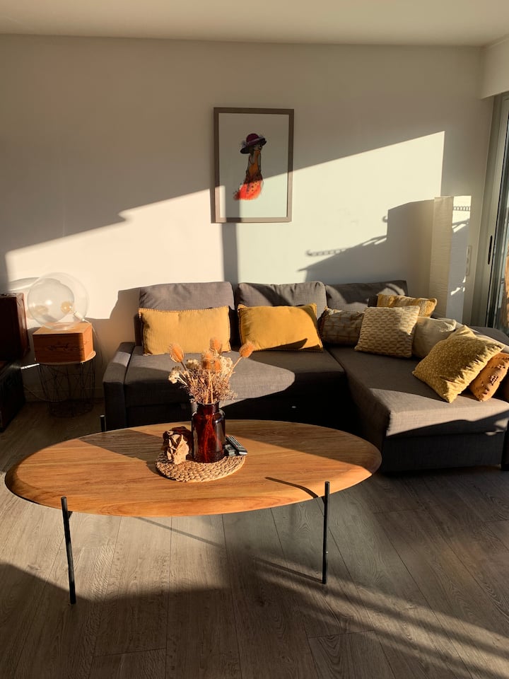 Location Appartement Sud France - Villeneuve-Loubet