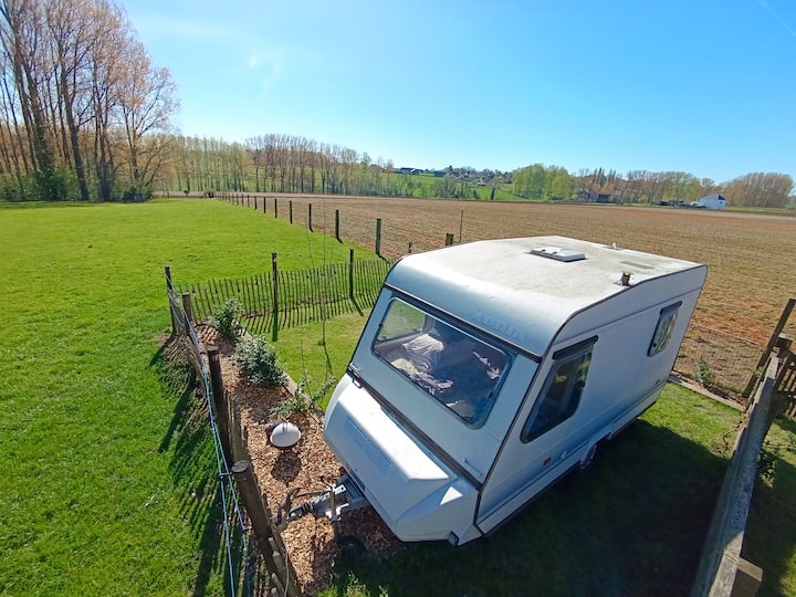 Relaxen Tussen De Dieren Op De Heuvel, Zwemvijver - Oudenaarde