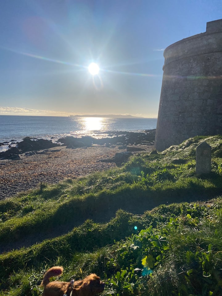 Sunny South Facing King Room - Donabate