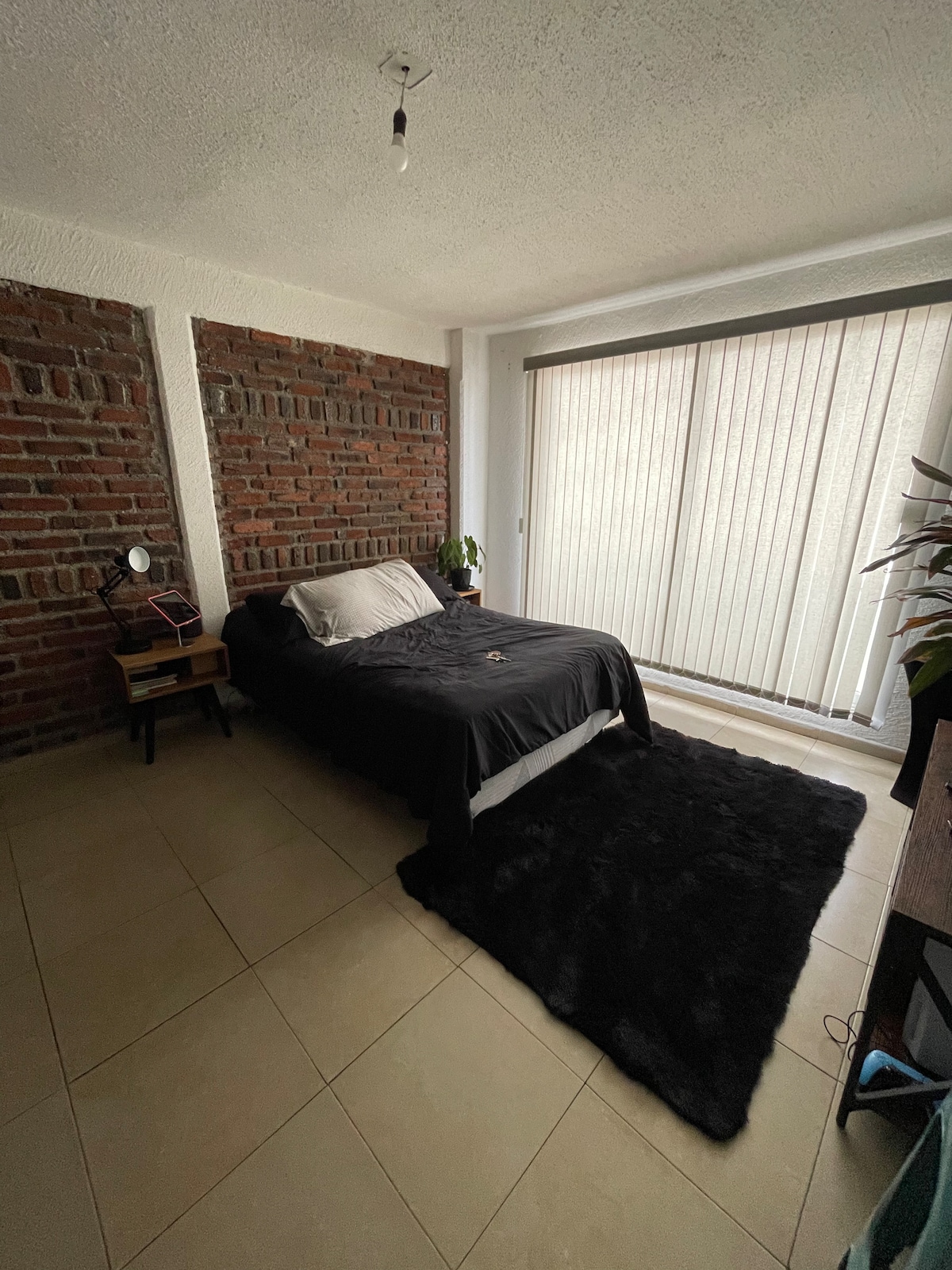 Departamento - Apartments for Rent in Mexico City, Ciudad de México ...