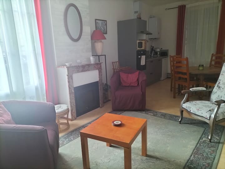 Appartement Avec Cheminée Et Jardin - Loches